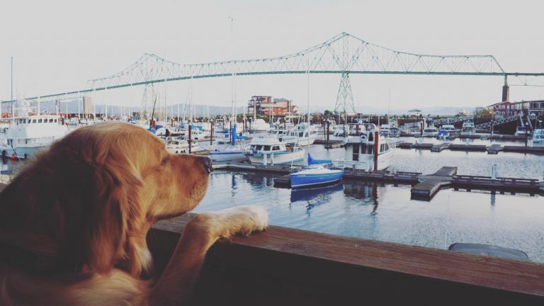 Dog Friendly Seaside Oregon - Oregon's North Coast