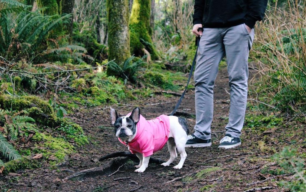 Dog Friendly Seaside Oregon - Oregon's North Coast